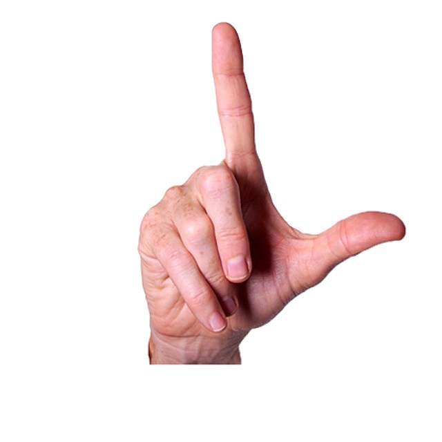 Different Types of Sign Language Around the World | business101 | Nouw