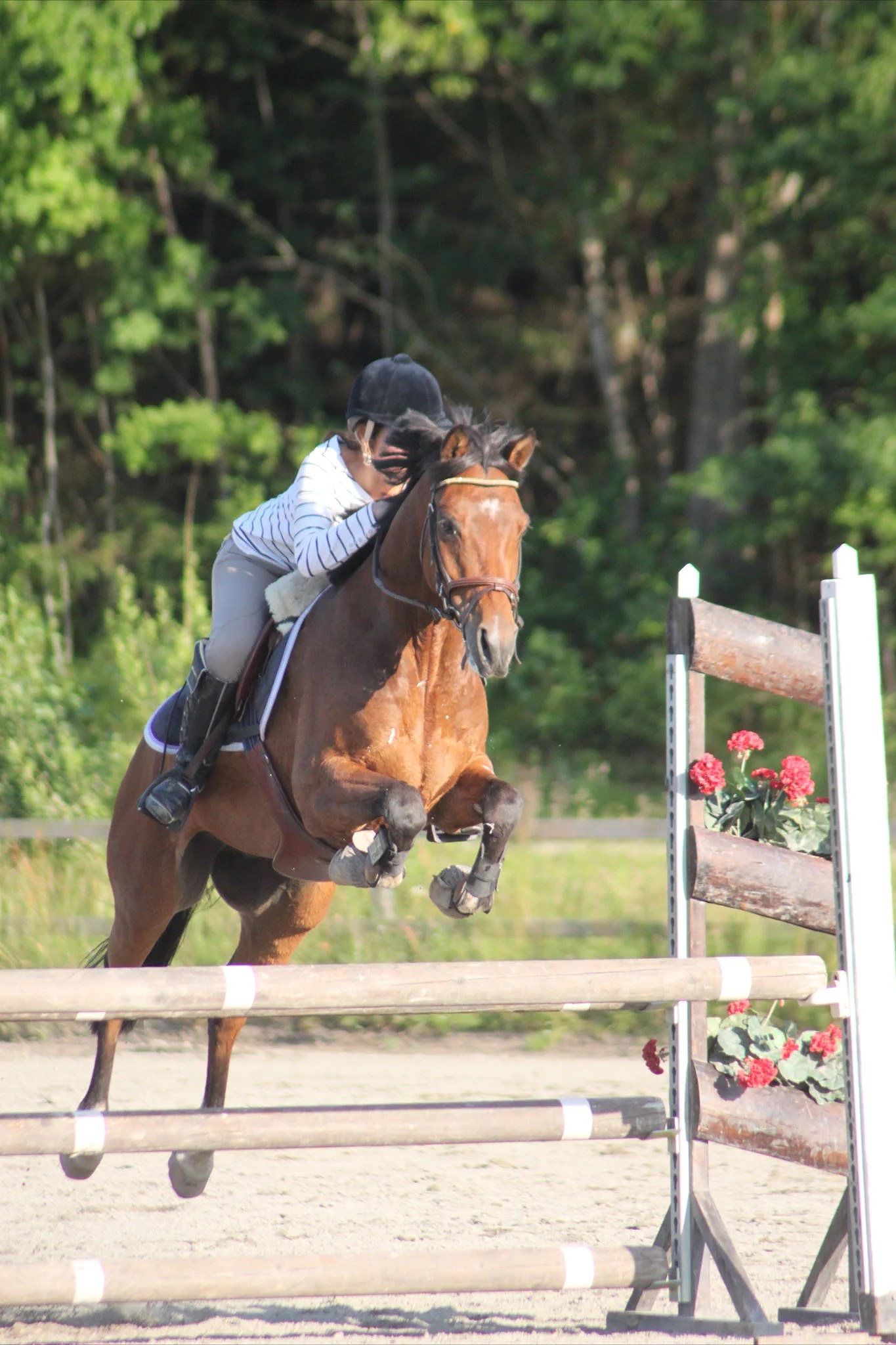 Roadtrip | lisapeterson | Nouw